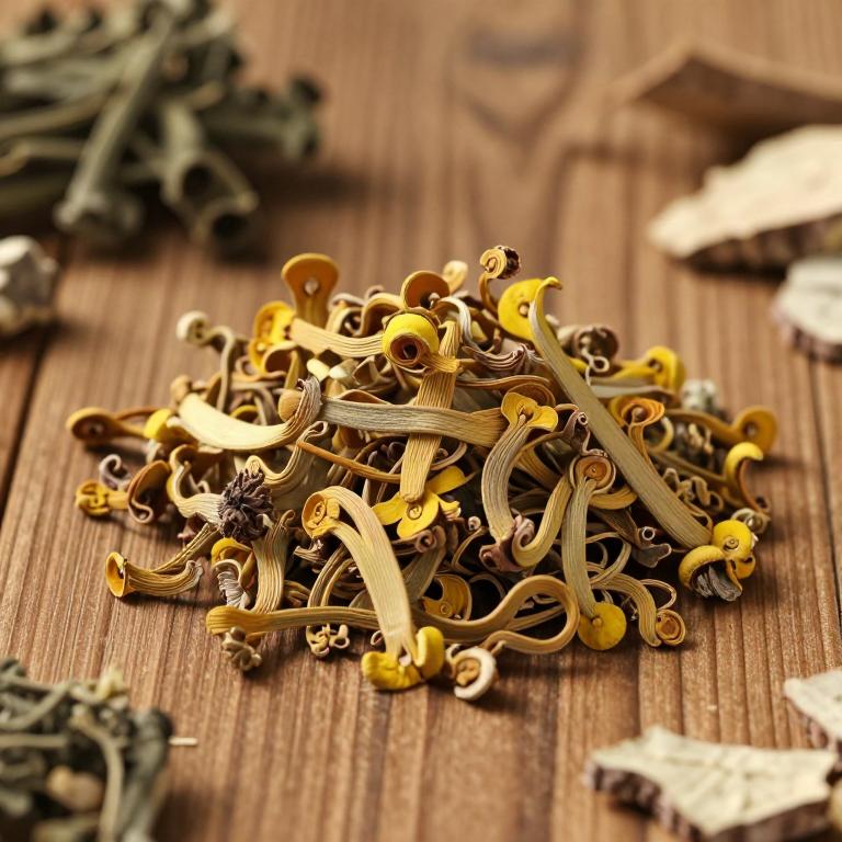 herbal Chinese Goldthread